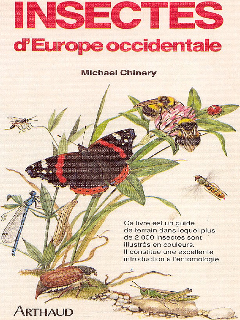Insectes de France Et D'europe Occidentale | PDF