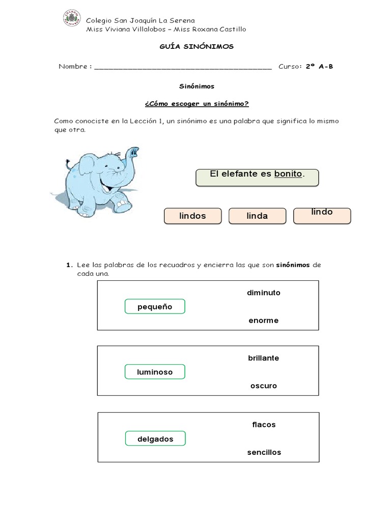 Guía Sinónimo 2020 | PDF