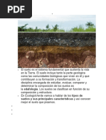 Suelos Fluvisoles: Importancia y Uso | PDF | Suelo | Riego