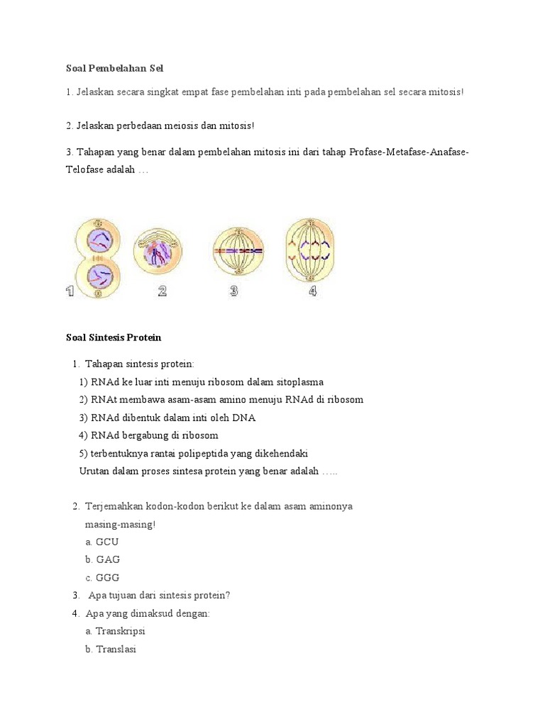 Soal Pembelahan Sel | PDF