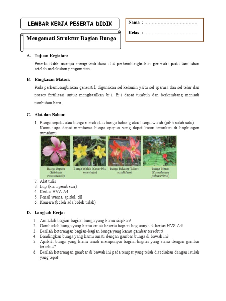 LKPD Mengamati Struktur Bunga. | PDF
