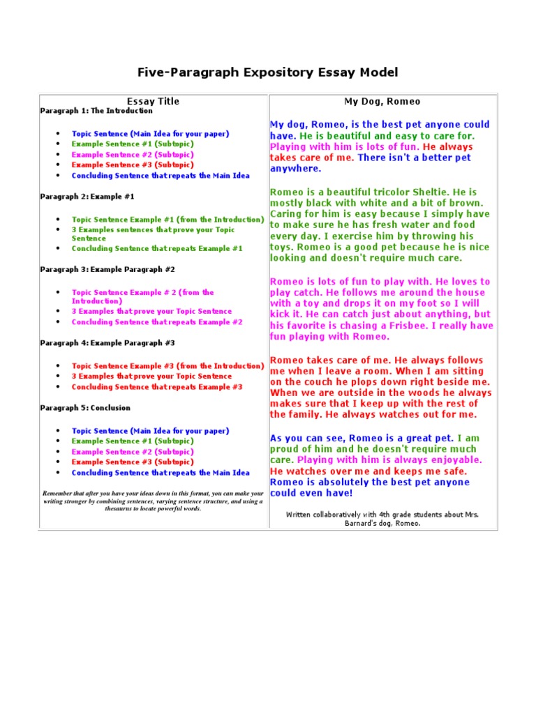 Five-Paragraph Expository Essay Model: Essay Title My Dog, Romeo | PDF