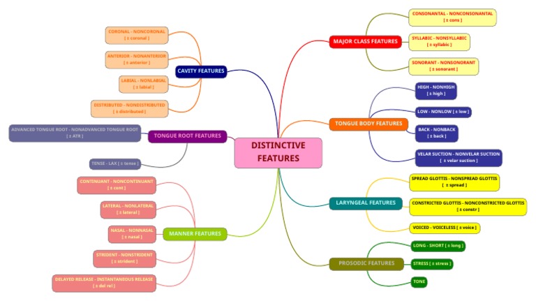 Mind Map Distinctive Features | PDF | Phonology | Phonetics