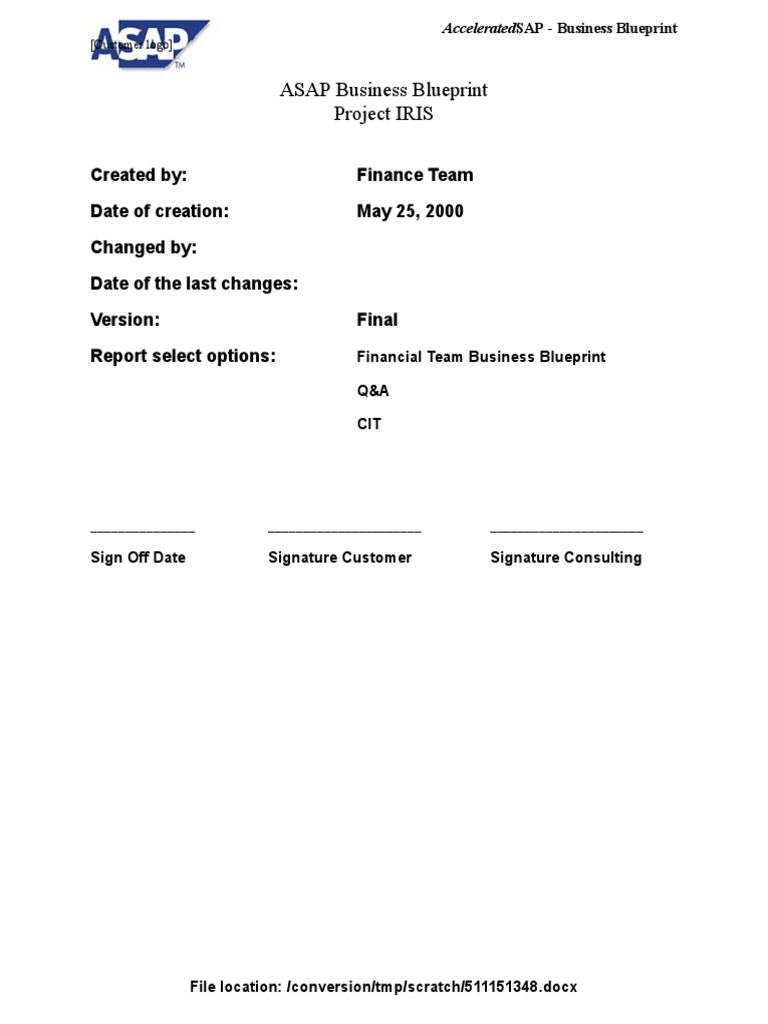 ASAP Business Blueprint | Download Free PDF | Payments | Invoice