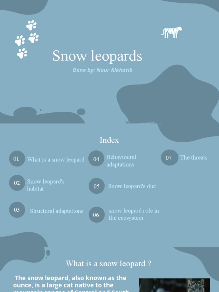 Structural and Behavioral Adaptations of the Snow Leopard: A ...