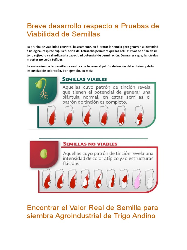 Breve Desarrollo Respecto A Pruebas de Viabilidad de Semillas | PDF ...
