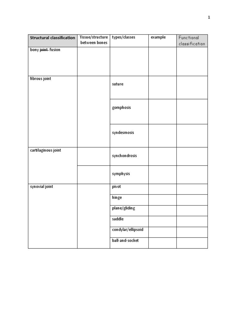Joints Classification Worksheet | PDF