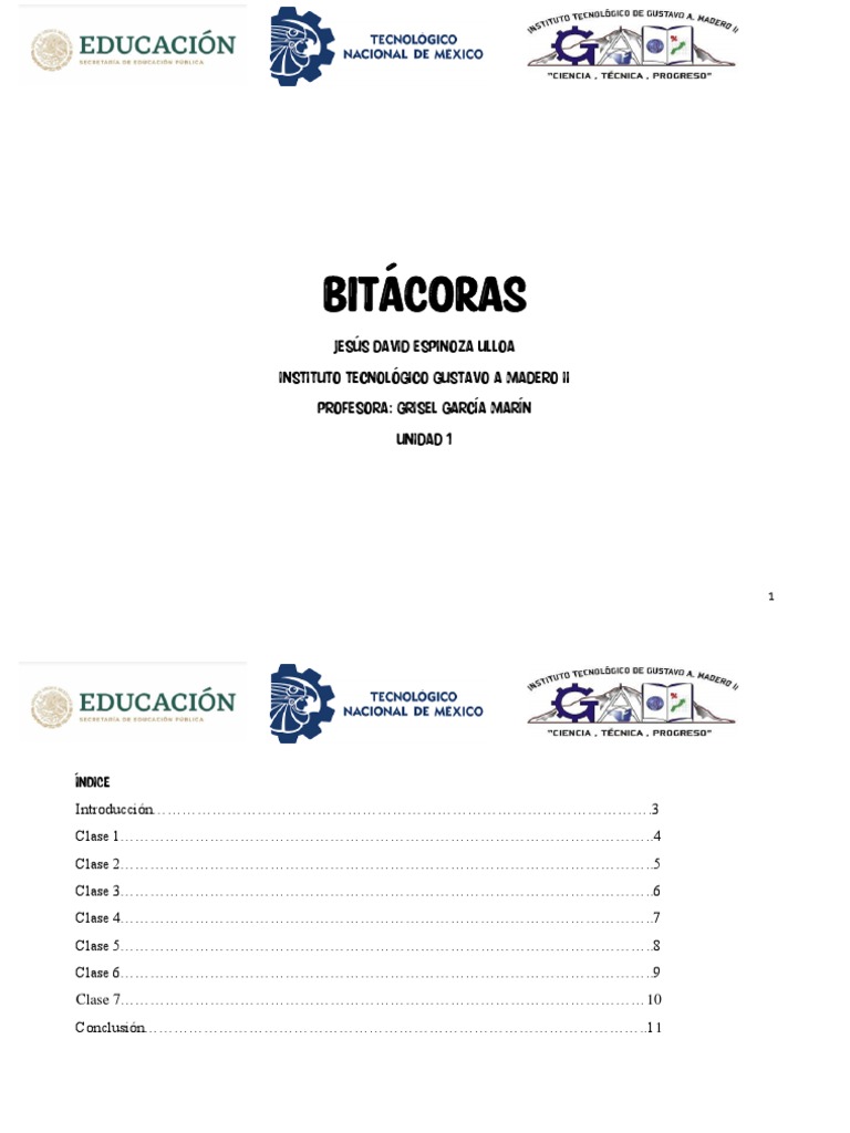 Bitacoras | PDF | Comportamiento organizacional | Comportamiento