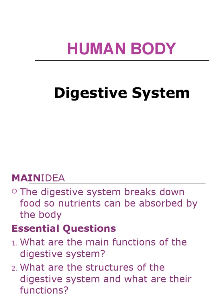 HUMAN BODY Digestive System | PDF | Human Digestive System | Digestion