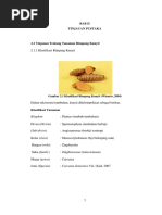 Kelompok 4 IDENTIFIKASI MAKROSKOPIS DAN MIKROSKOPIS RHIZOMA, FLOS, FRUCTUS DAN SEMEN | PDF