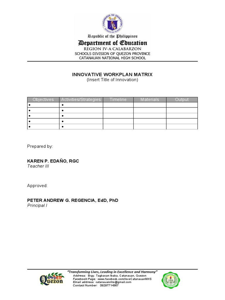 Innovative Work Plan Matrix | PDF
