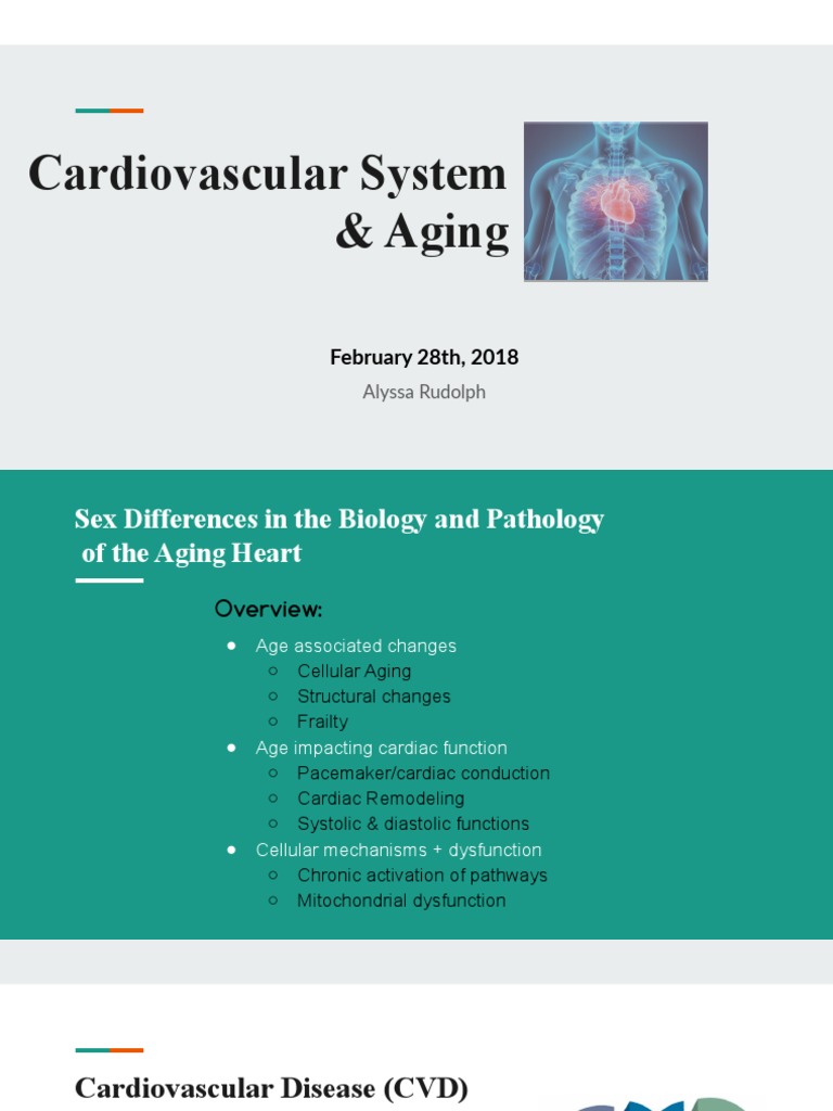 Aging Effects on Cardiovascular Health | PDF | Cardiovascular ...