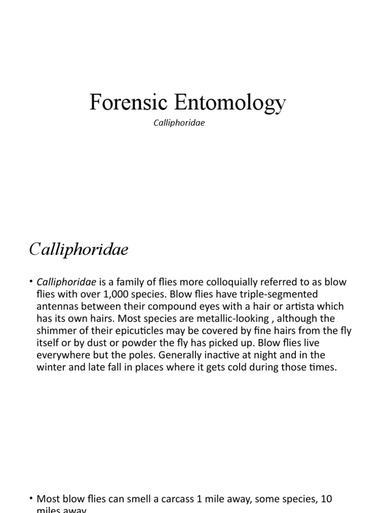 Presentation Forensic Entomology | PDF | Fly | Dna