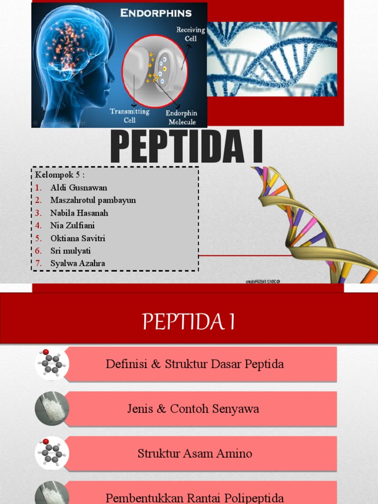 Polipeptida Kelompok 4 PPTX | PDF