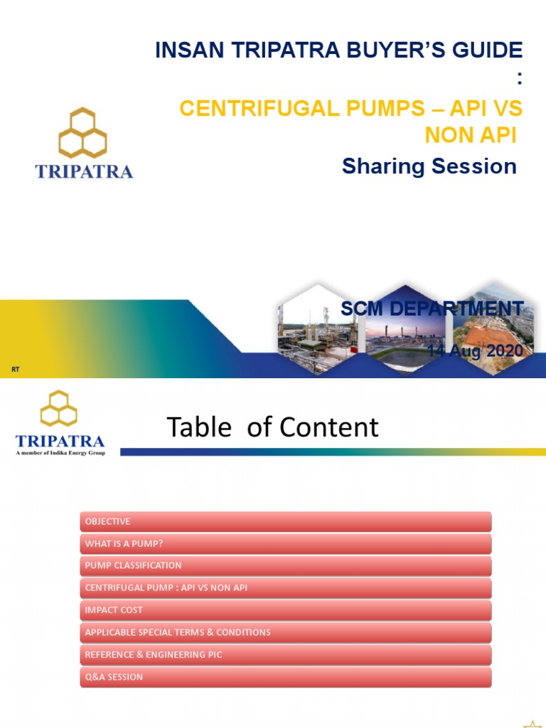 Insan Tripatra Buyer'S Guide:: Centrifugal Pumps - Api Vs Non Api | PDF