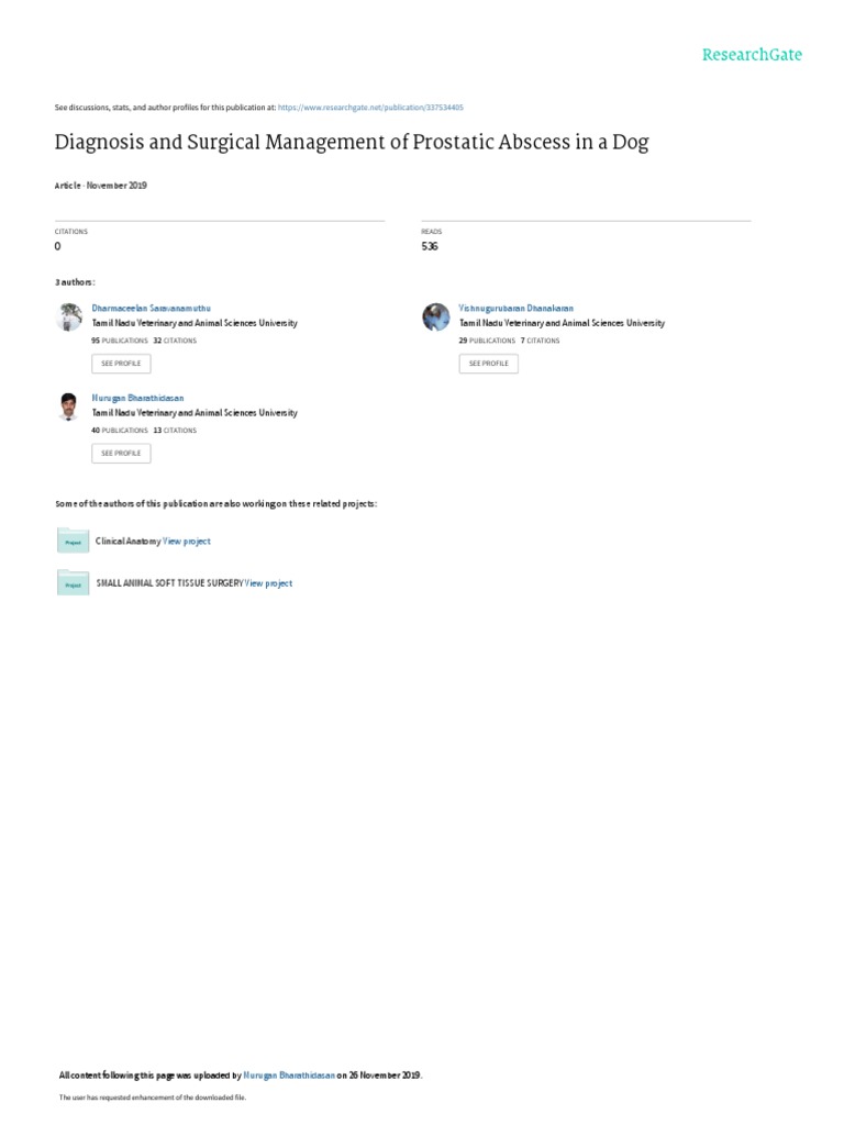 Diagnosis and Surgical Management of Prostatic Abscess in A Dog | PDF ...