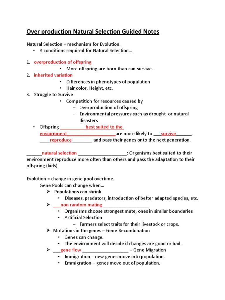 Natural Selection Guided Notes Overview | PDF
