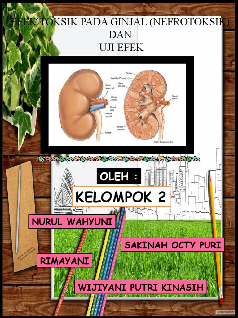 Efek Toksik Pada Ginjal | PDF