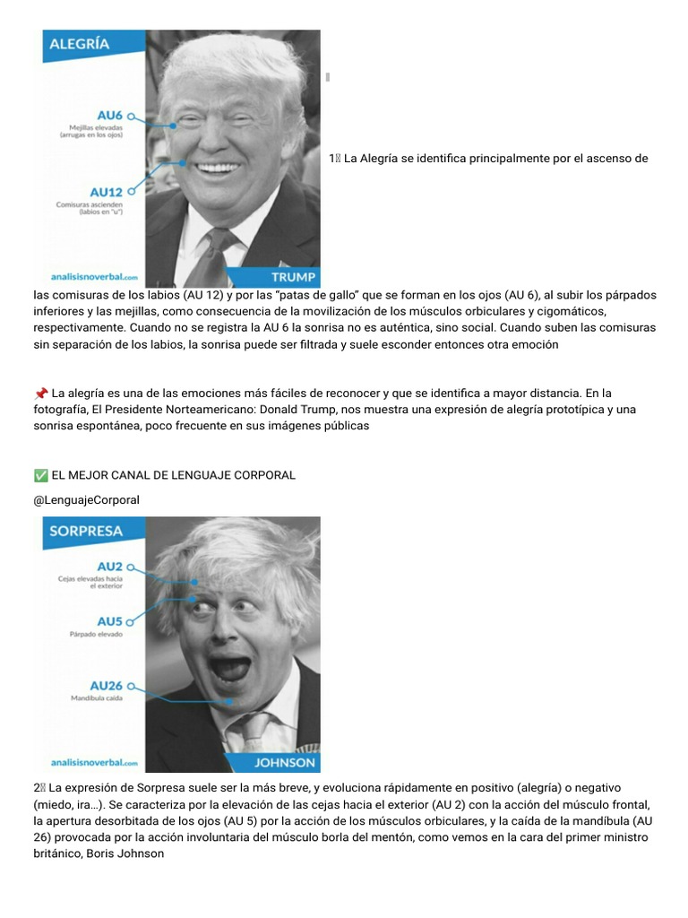Expresión Facial del Asco | PDF | Cara | Asco