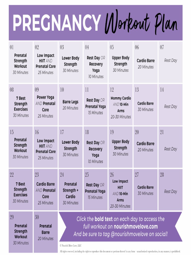 Pregnancy Workout Plan Graphic - PDF | PDF