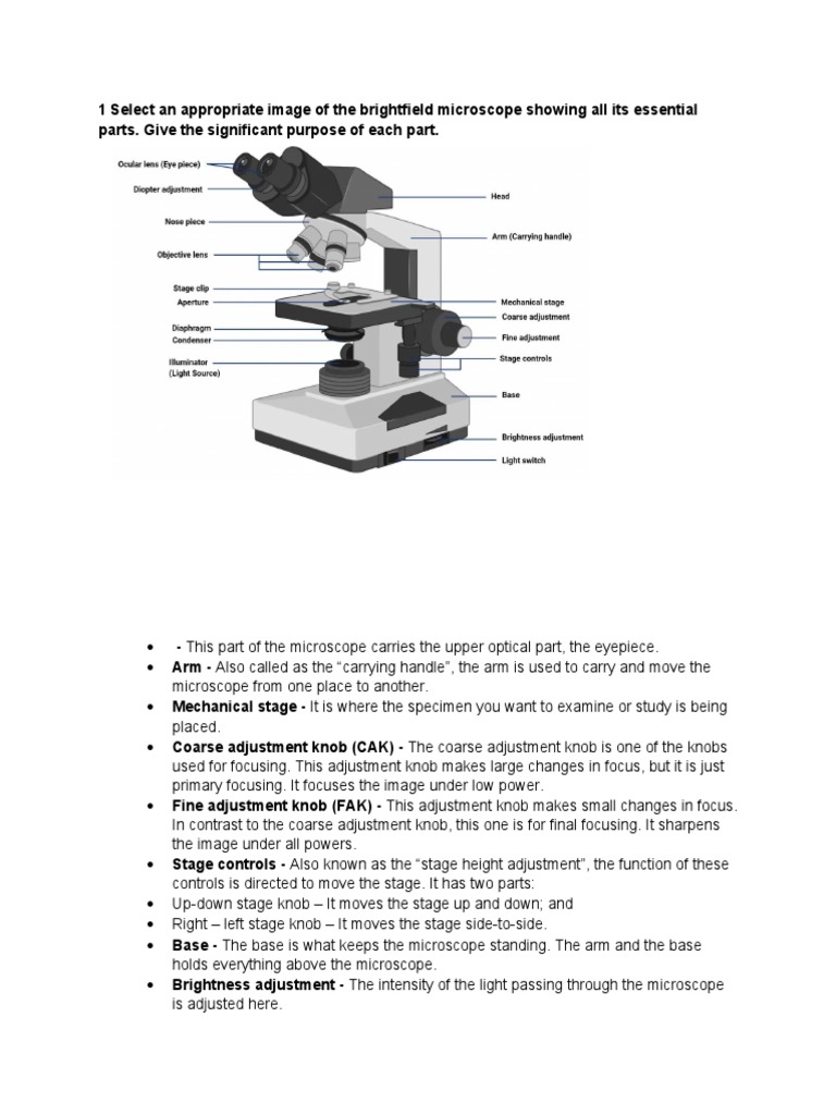 MicroPara First Lab Activity | PDF | Glass Applications | Laboratory Equipment