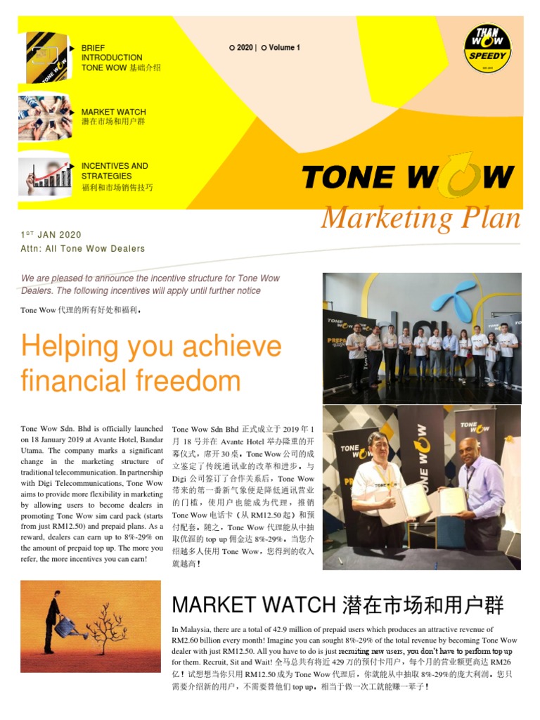 Z Tonewow Marketing Plan Updated Jan 2021 | PDF | Business ...