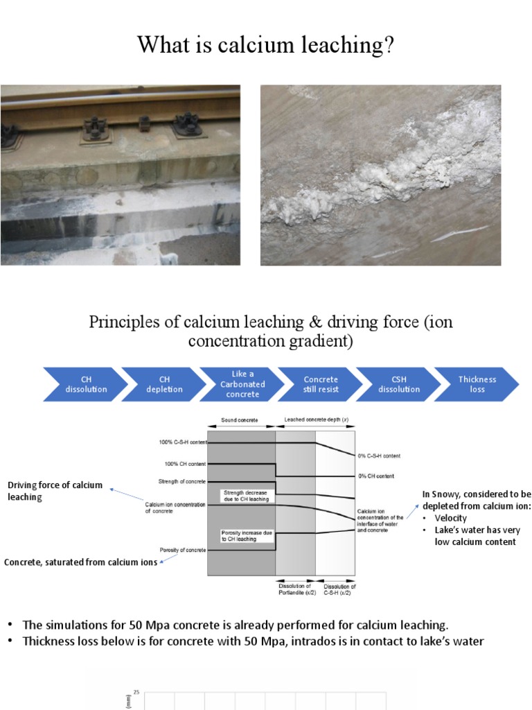 What Is Calcium Leaching? | PDF | Concrete | Calcium