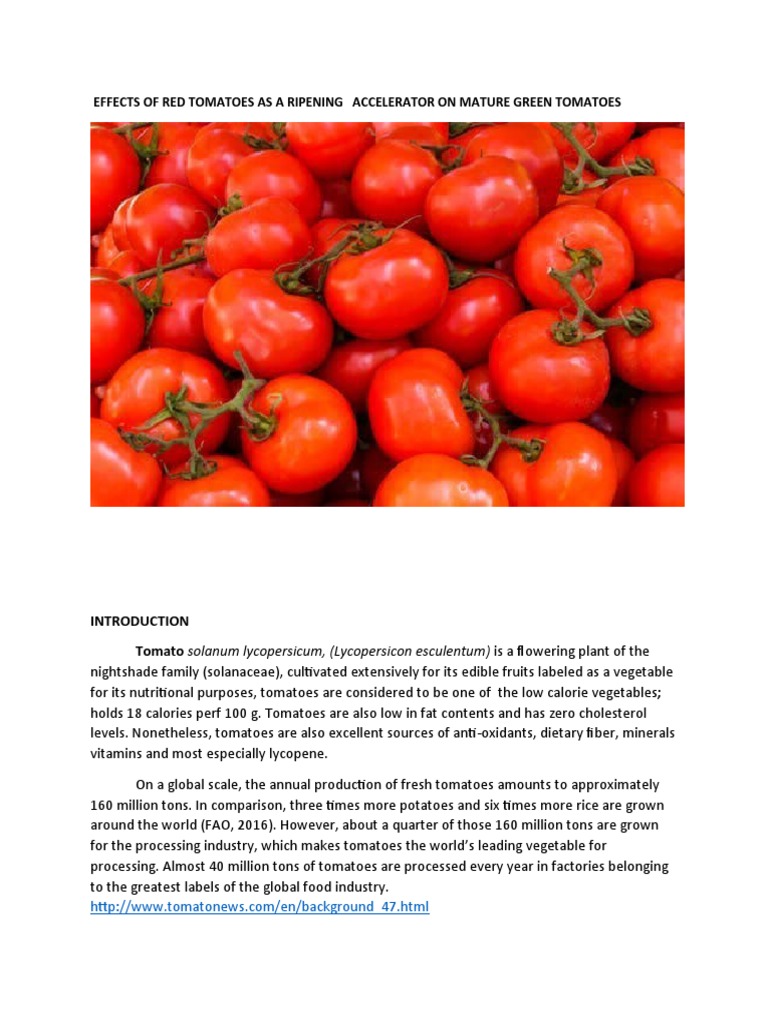 Effects of Red Tomatoes As A Ripening Accelerator On Mature Green ...