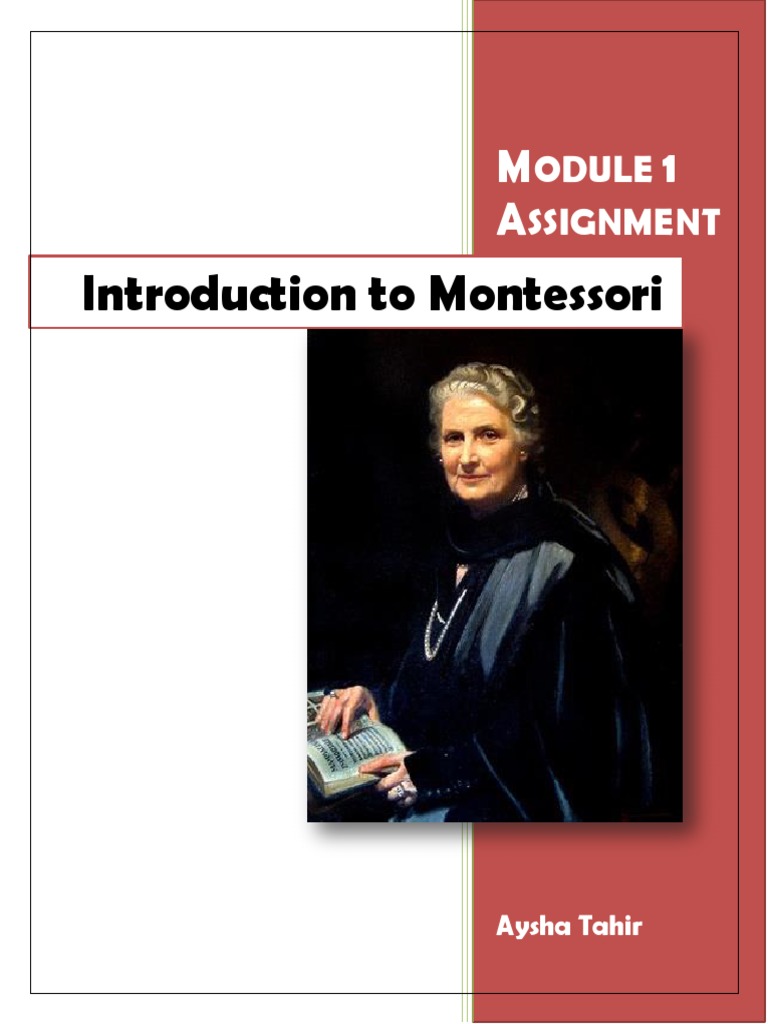 PMC Module 1 Assignment by Aysha Tahir | PDF | Montessori Education ...
