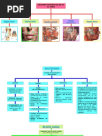 Región Geniana o Región de La Mejilla | PDF | Anatomía | Anatomía humana