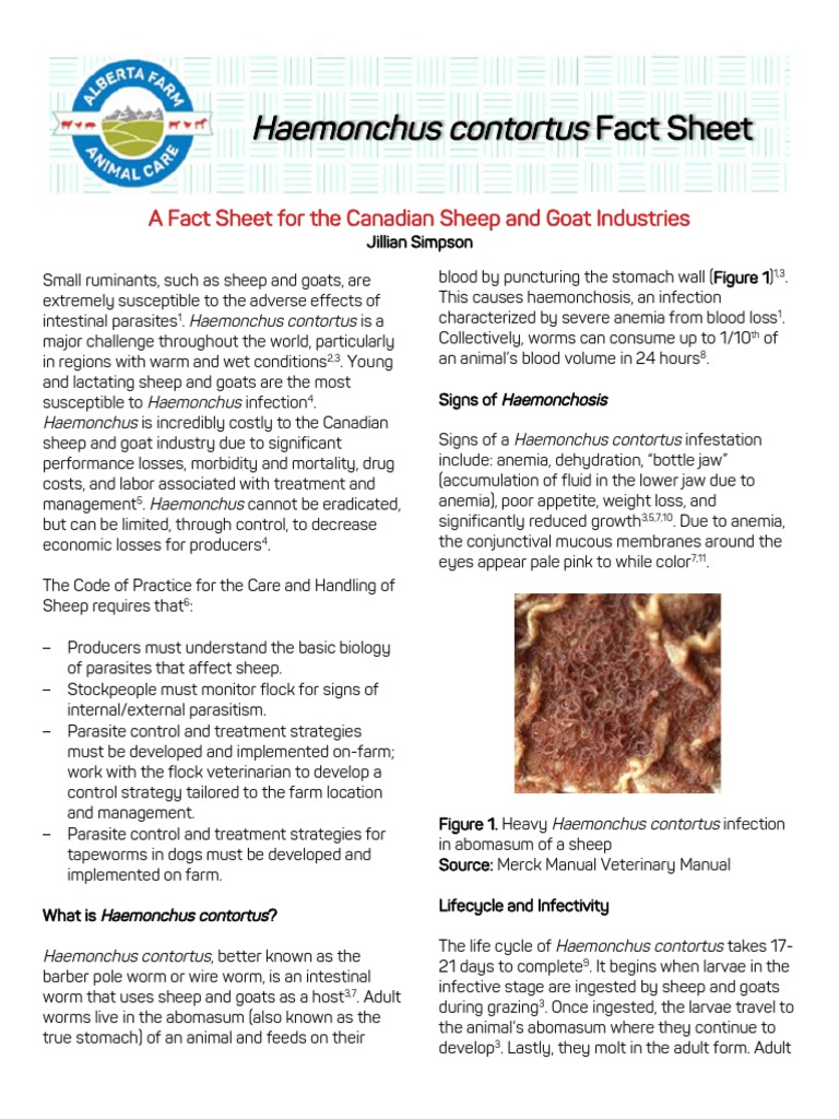 Haemonchus Contortus Fact Sheet | PDF