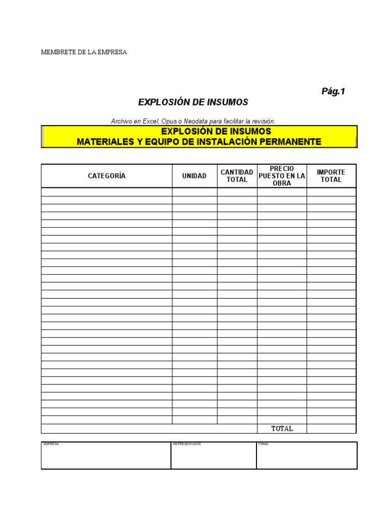 Formato Explosión de Insumos | PDF | Economias | Informática