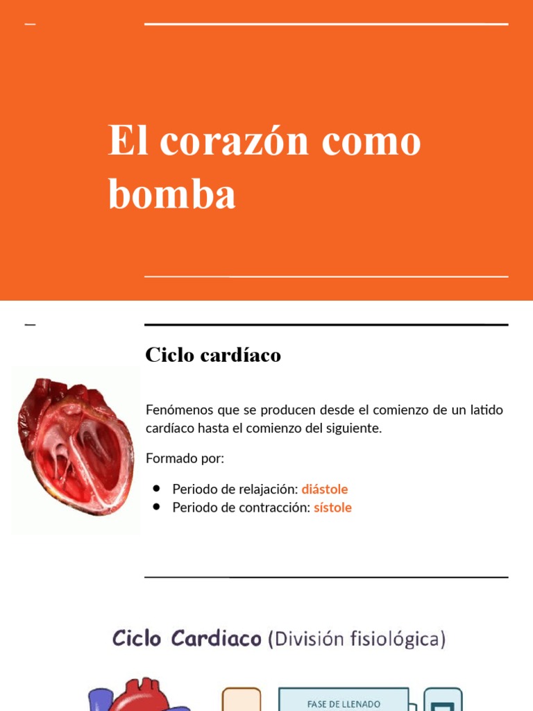 El Corazon Como Bomba y Concepto de Gasto Cardiaco | PDF