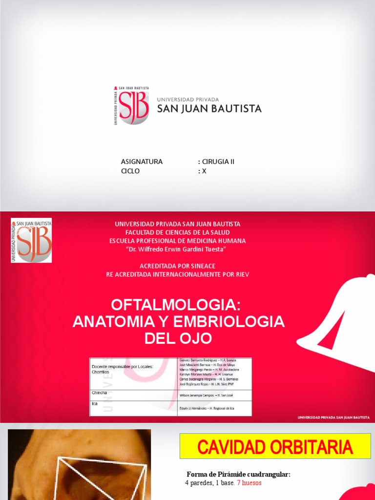 Anatomia Del Ojo y Anexos - Upsjb | PDF | Córnea | Órganos sensoriales