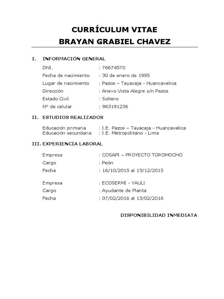 Currículum Vitae Brayan Grabiel Chavez | PDF