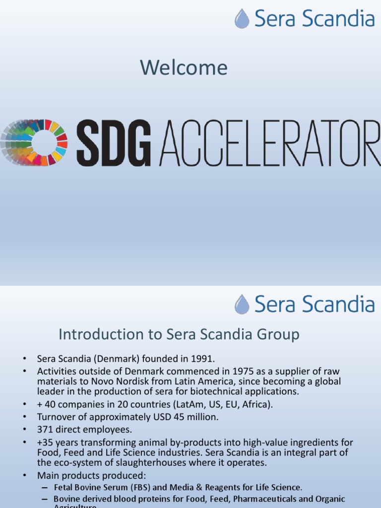 2019 04 29 SSC Presentation To SDG Accelerator | PDF | World Food ...