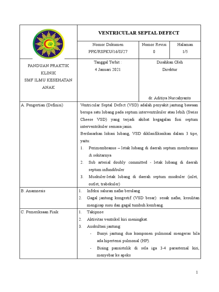 Fix PPK Ventricular Septal Defect | PDF