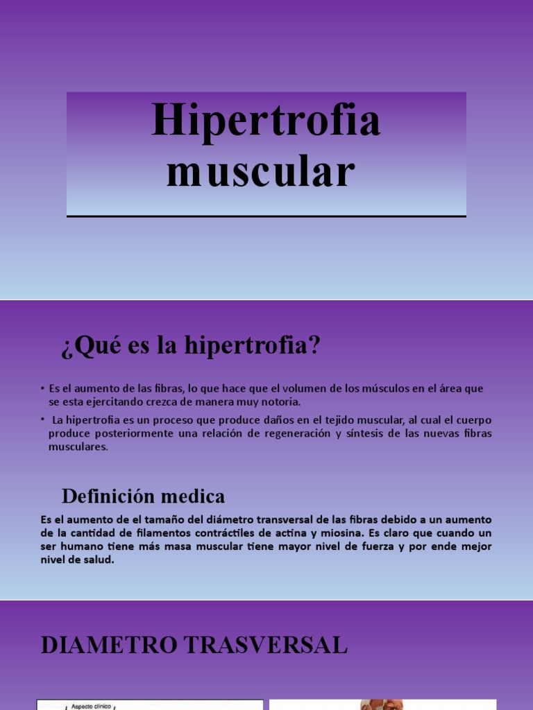 Hipertrofia Muscular C. SALUD | PDF