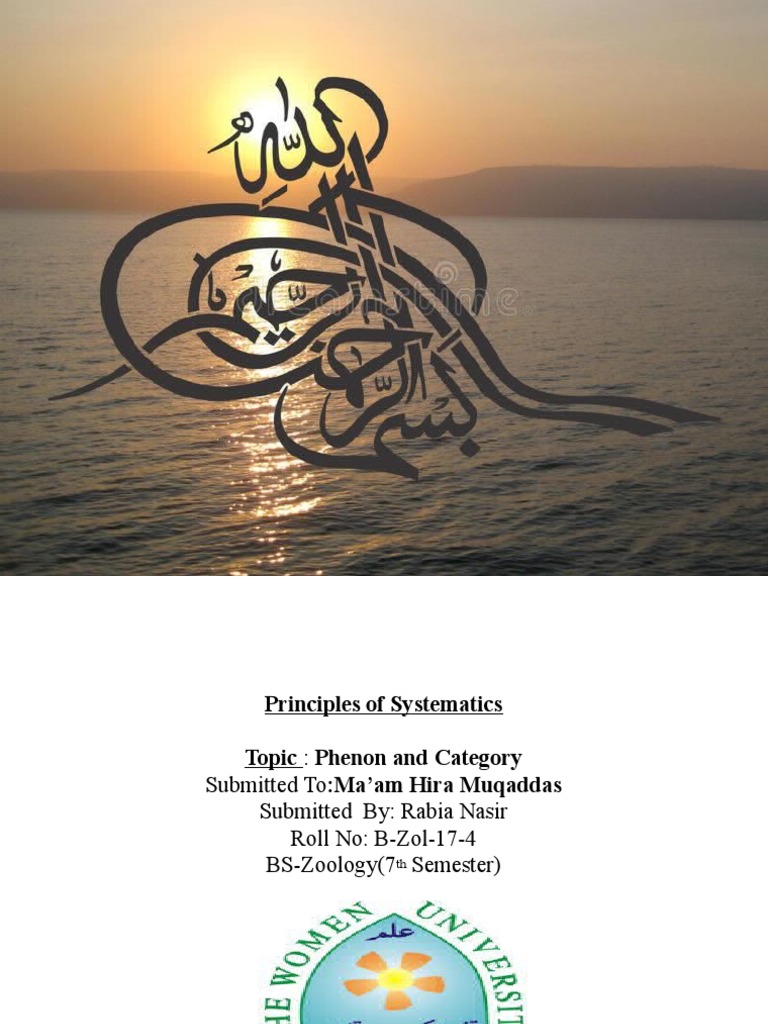 Taxonomic Classification: An Explanation of Phenons, Categories, and ...