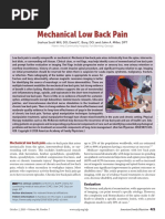 CORE Back Tool | PDF | Low Back Pain | Back Pain