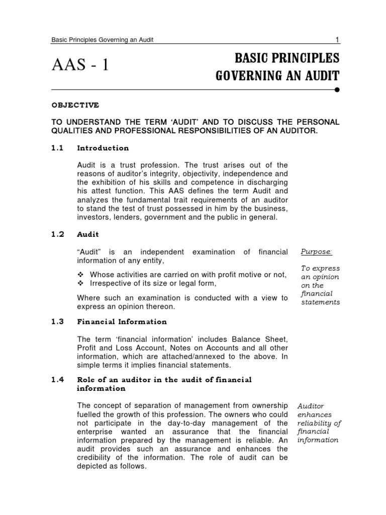 Basic Principles Governing An Audit: Objective | PDF | Auditor's Report ...