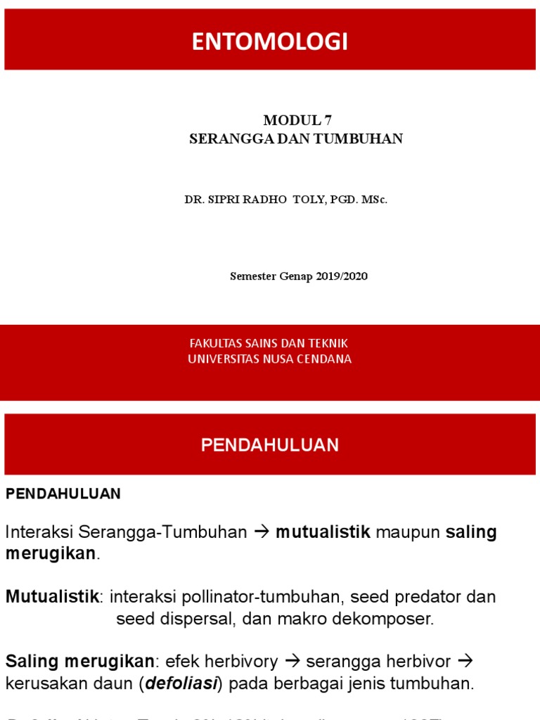 Modul 7A Serangga & Tumbuhan | PDF