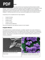 Biodiversity and Classification Grade 10 | PDF