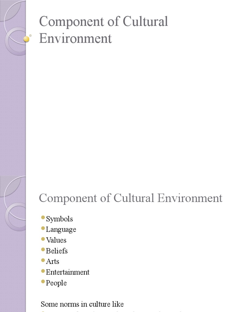 Cultural Environment | PDF