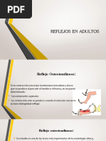 Reflejo Cremasterico | PDF