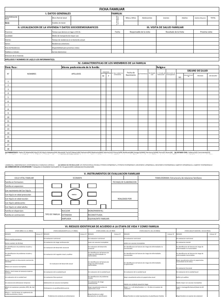 Ficha Familiar 2018 | PDF | Adultos | Bienestar
