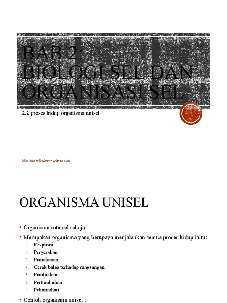2.2 Proses Hidup Organisma Unisel | PDF
