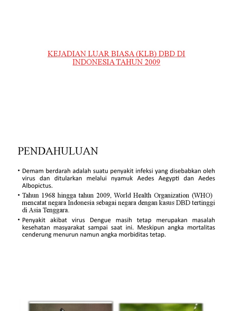 KLB DBD Esti | PDF | Sains & Matematika
