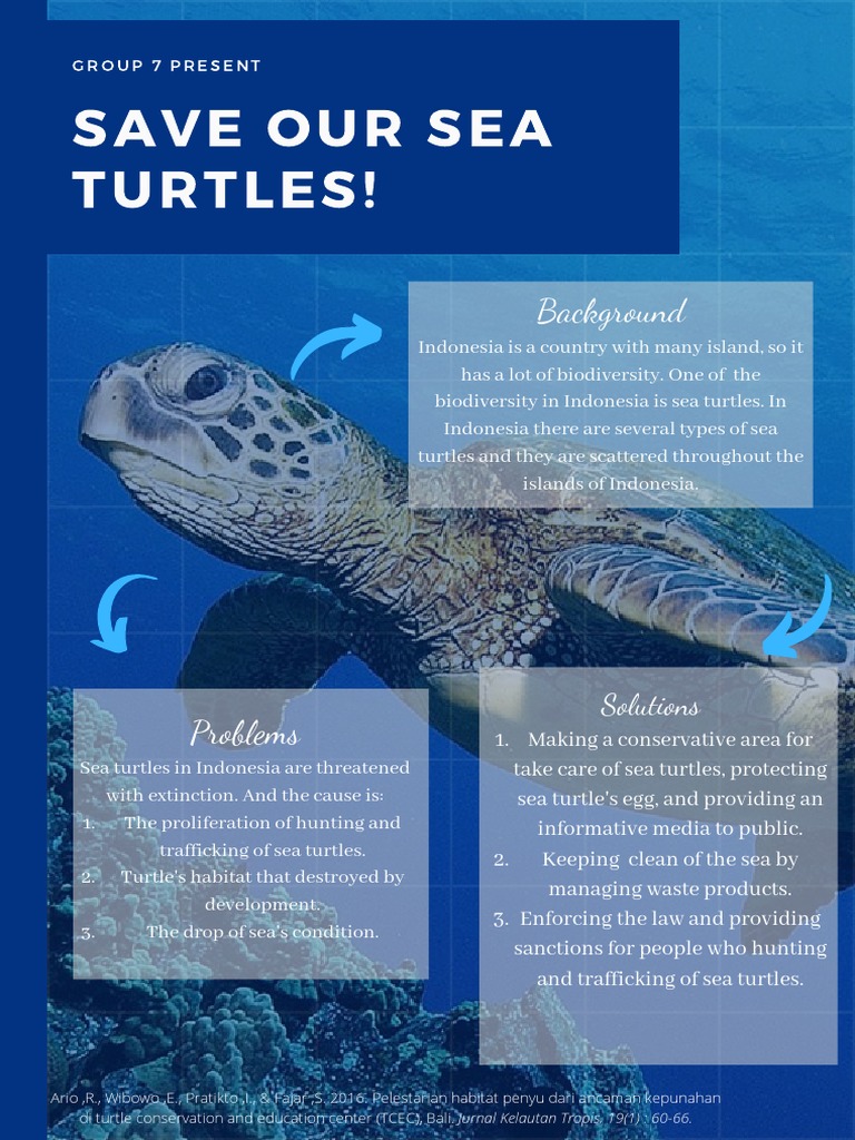 Poster Save Our Sea Turtles! | PDF