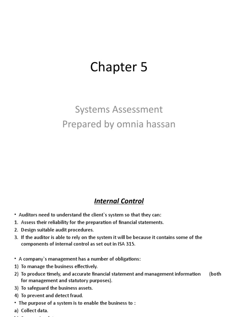 Systems Assessment Prepared by Omnia Hassan | PDF | Internal Control ...